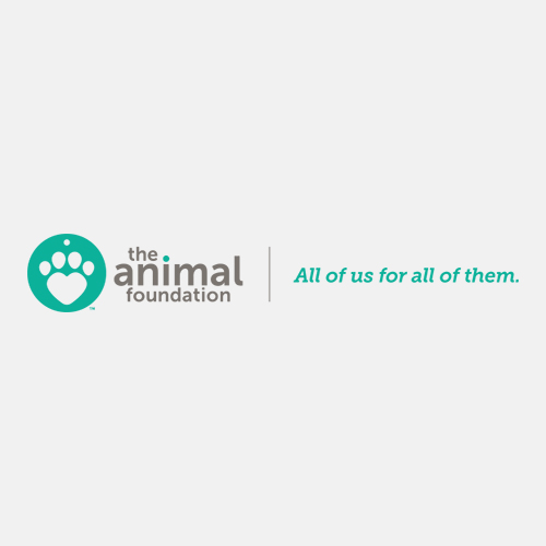 The Animal Foundation Vehicle Donation Program